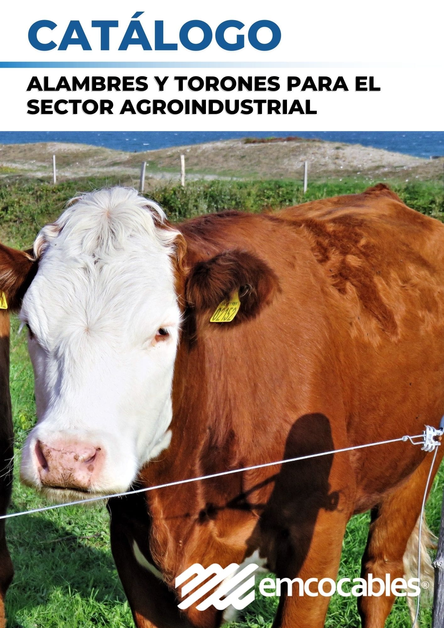 Catálogos – Emcocables